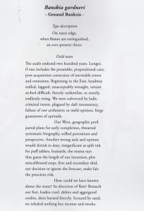 Forever the Same & Never the Same: Maureen Gordon Opens ‘Floribunda’ an ...