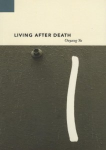 Translating one culture out of another: Kevin Brophy launches ‘Living ...