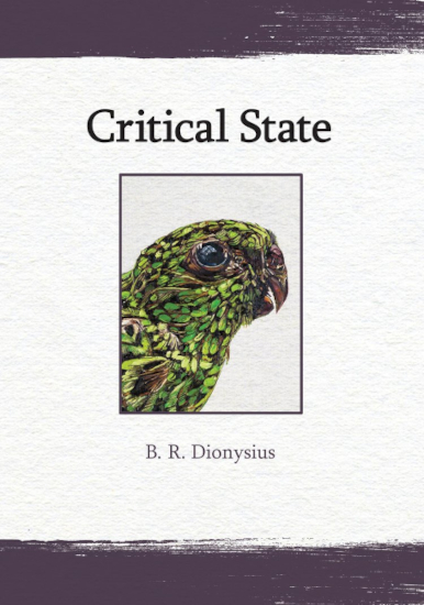 A rendering of threats: Stephanie Green reviews ‘Critical State’ by B ...