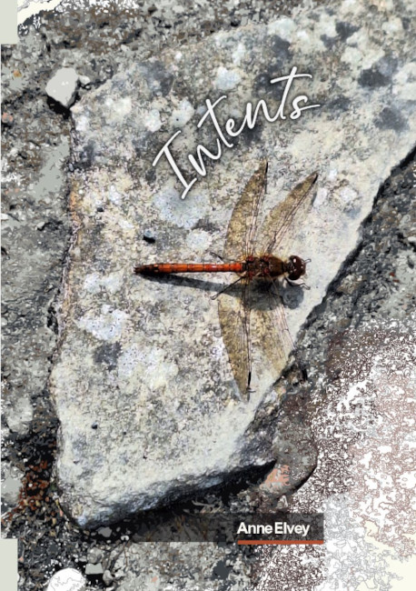 The layered structure of the house of poetry: Jennifer Compton launches ...